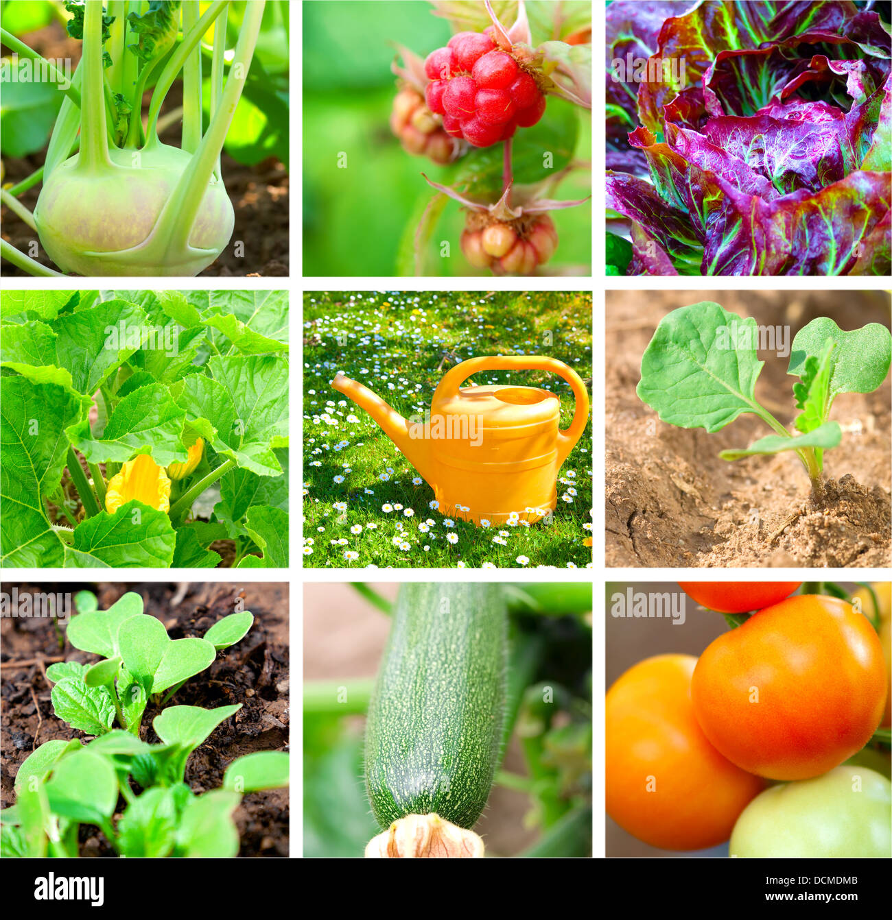 set of vegetable garden Stock Photo - Alamy