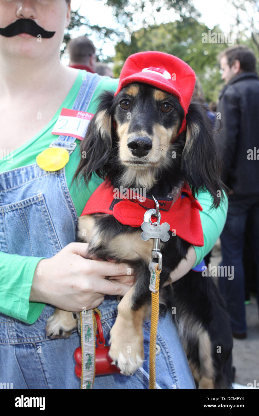 Mario dog The 21st Annual Tompkins Square Halloween Dog Parade New York ...