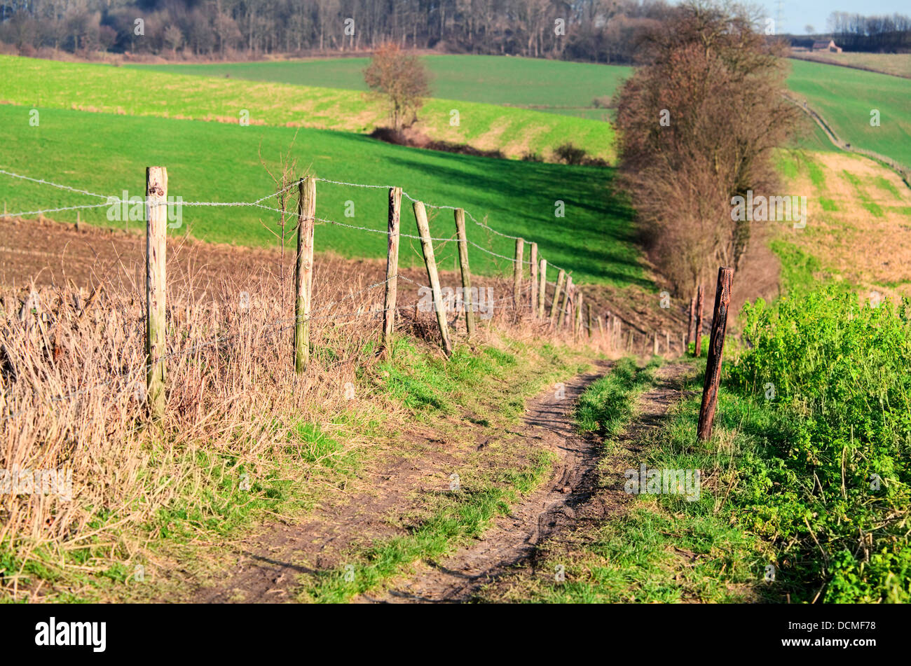 rural path through the fields Stock Photo - Alamy