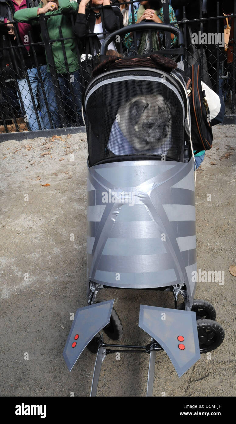 The 21st Annual Tompkins Square Halloween Dog Parade New York City, USA ...