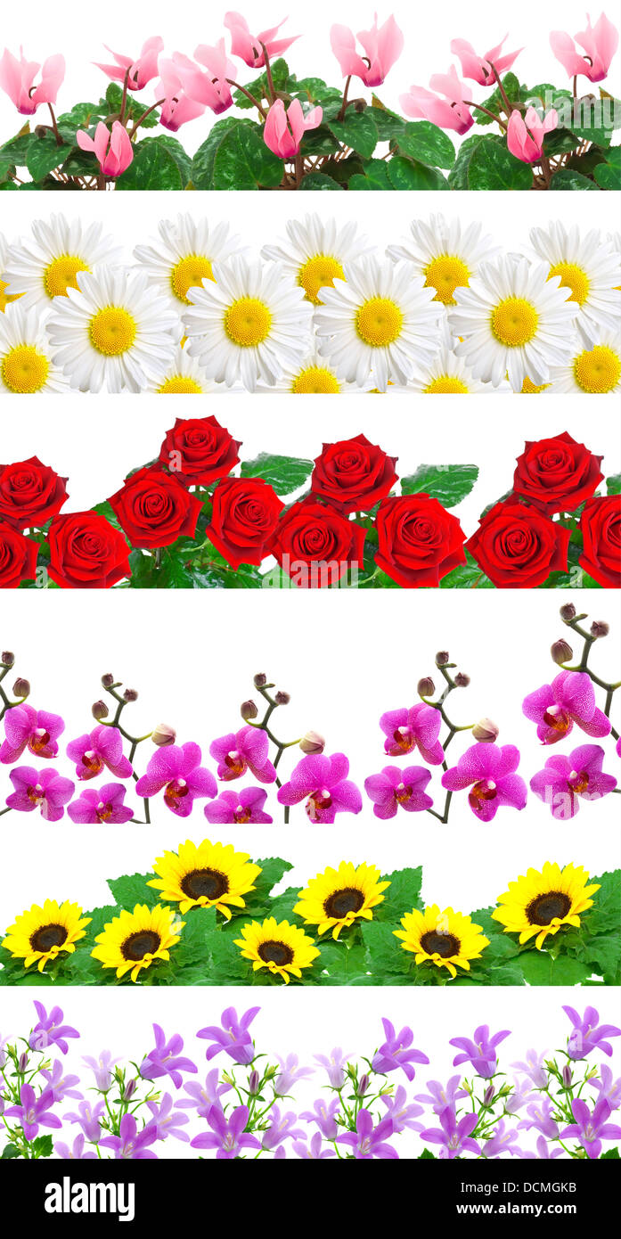 set of flowers background Stock Photo - Alamy