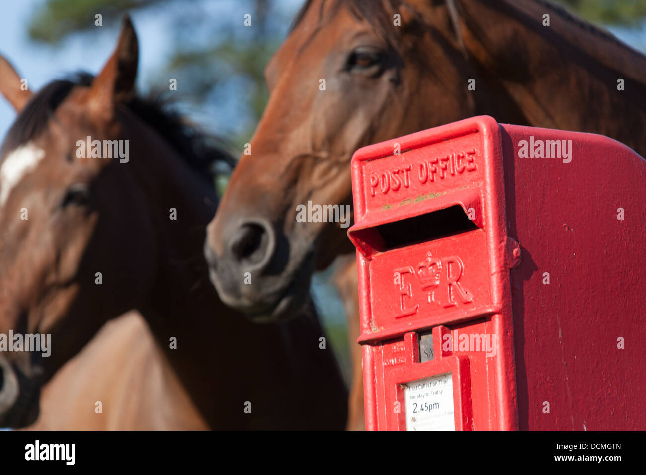 Village of Coddington, England. A red Post Office letter post box with ...