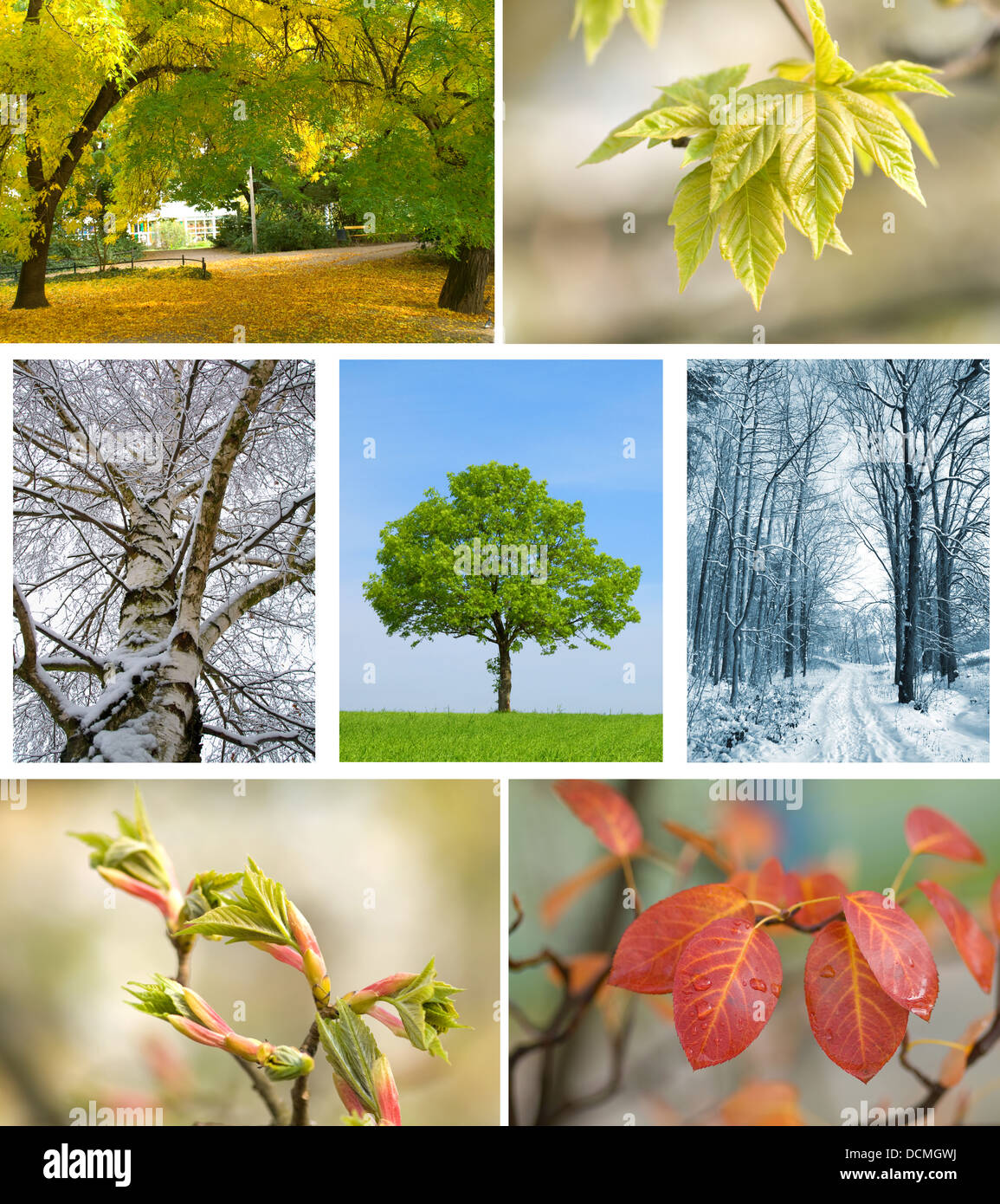 set of season landscape Stock Photo - Alamy