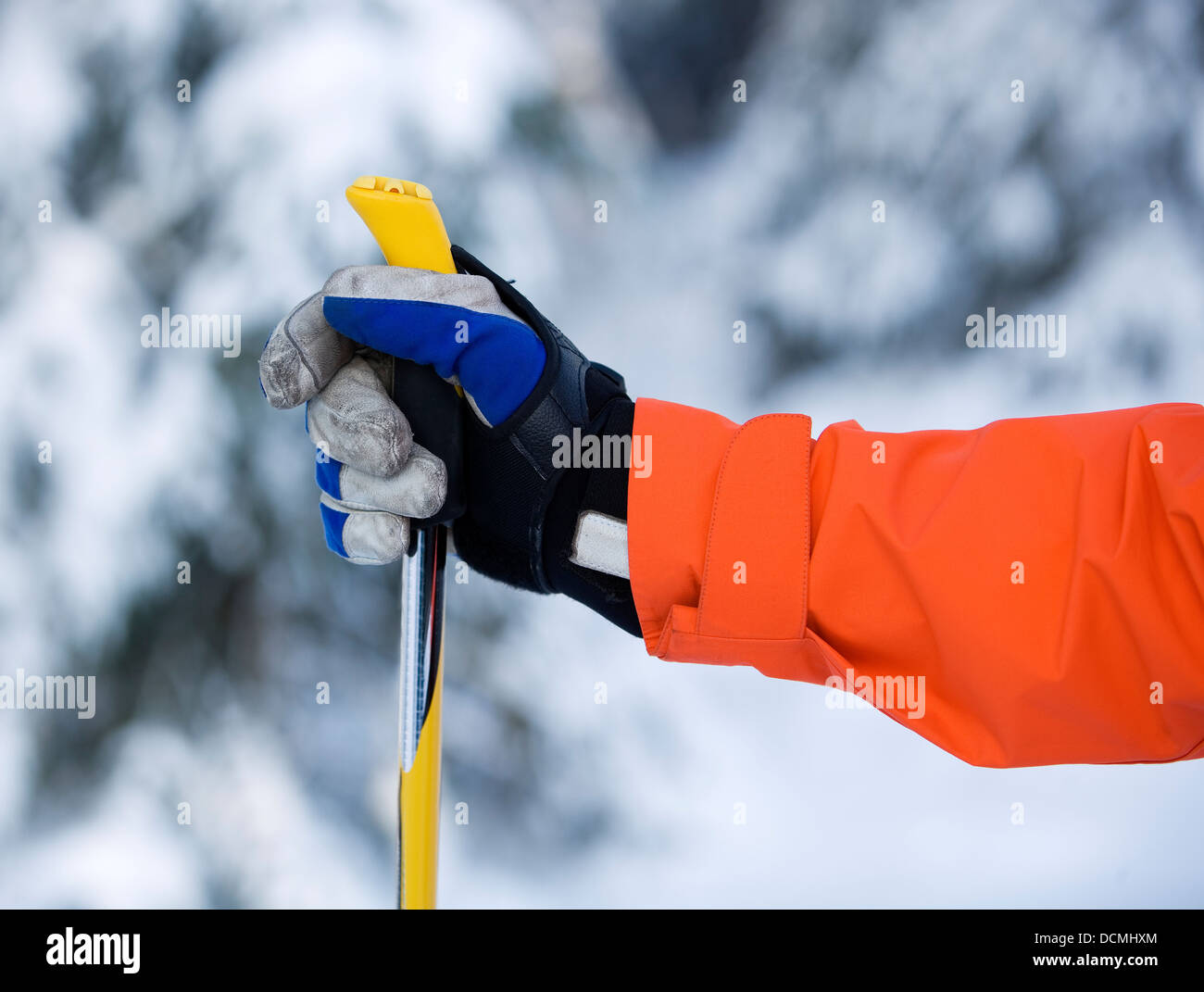 Hand and Ski Pole Stock Photo - Alamy