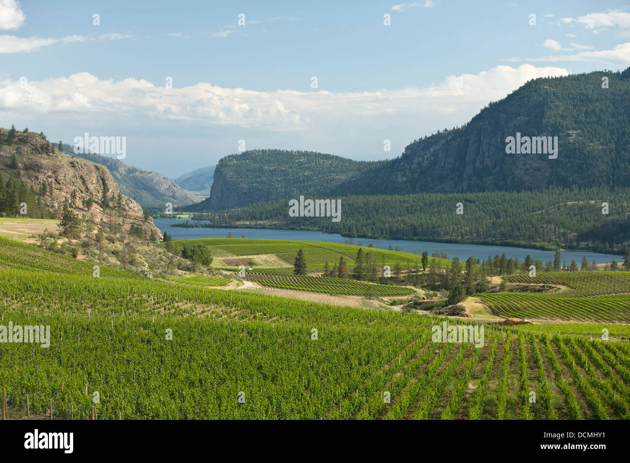 BLUE MOUNTAIN VINEYARDS OKANAGAN FALLS VASEAUX LAKE SOUTH OKANAGAN ...