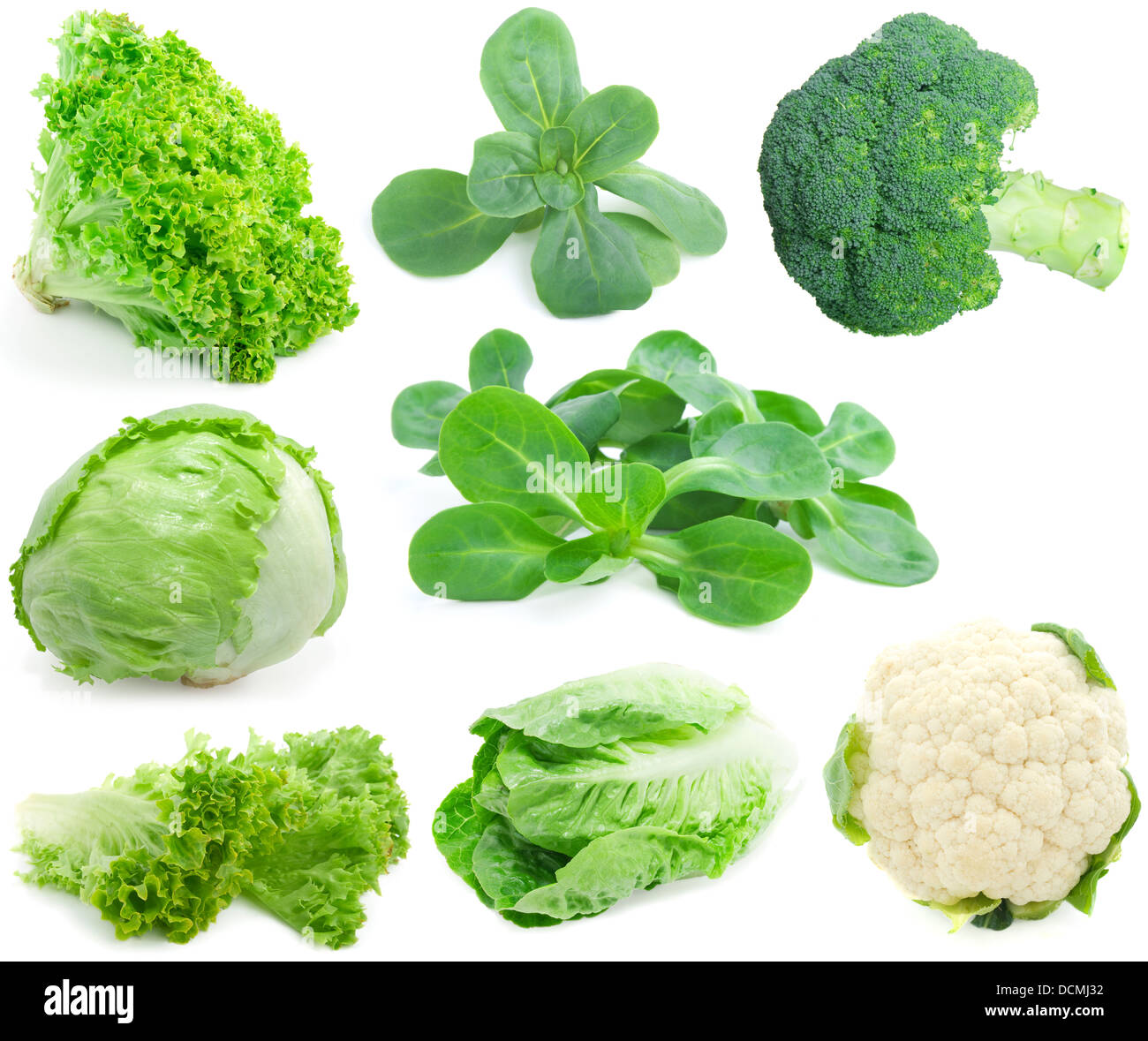 cabbage and green vegetable collection isolated on white background ...