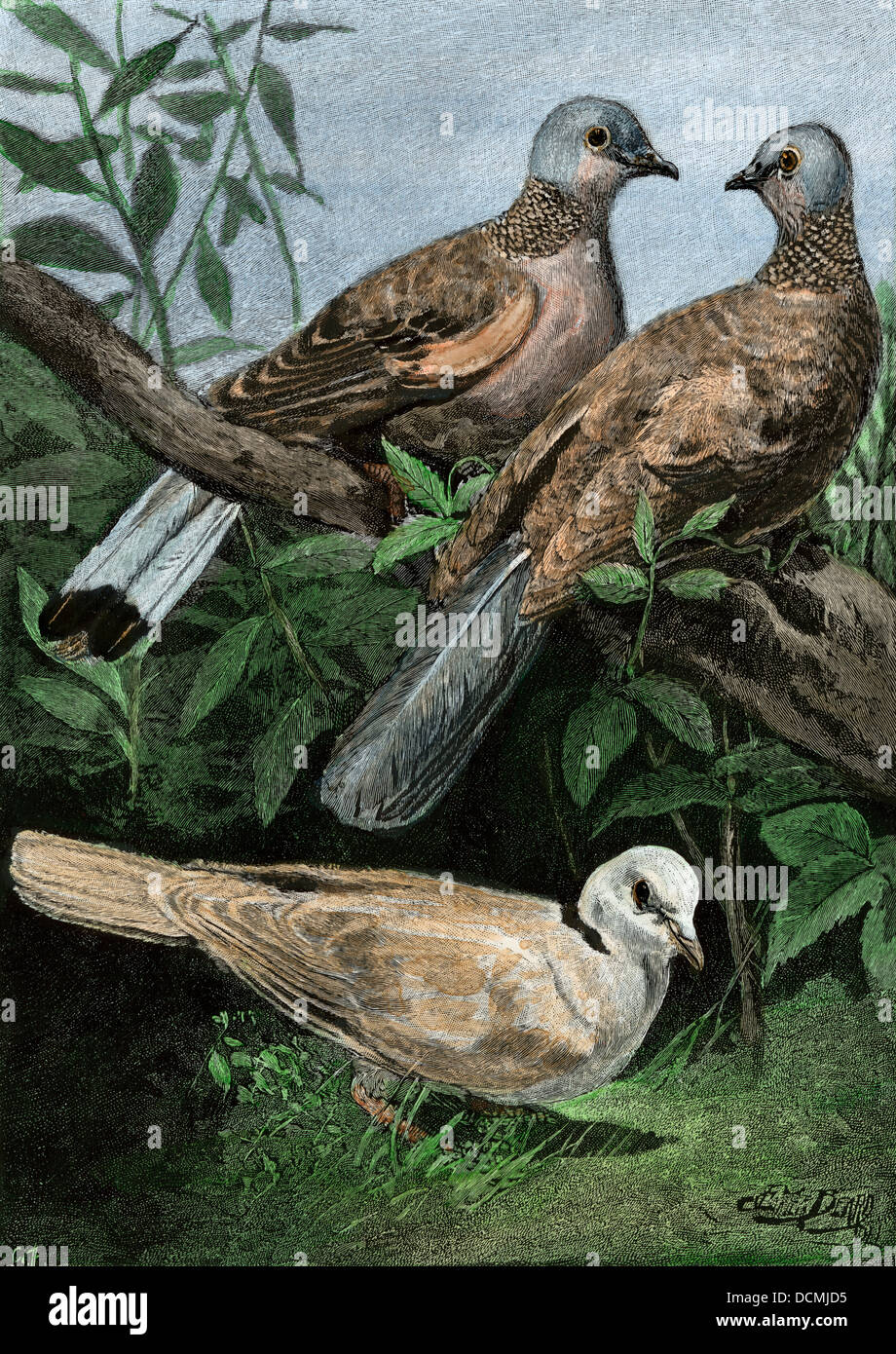 Two Turtle Doves Home Alone 2