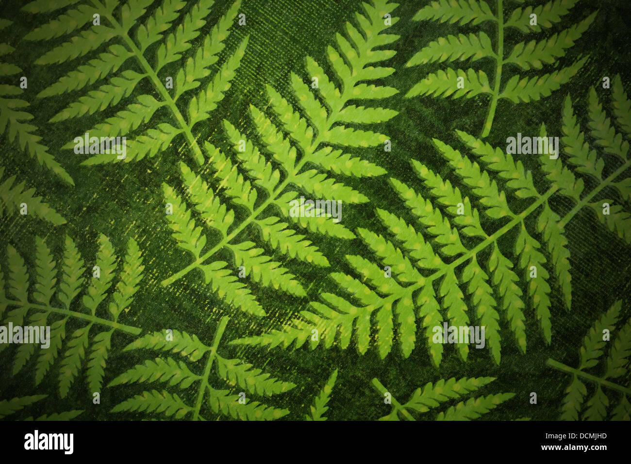 Fern paper background Stock Photo - Alamy