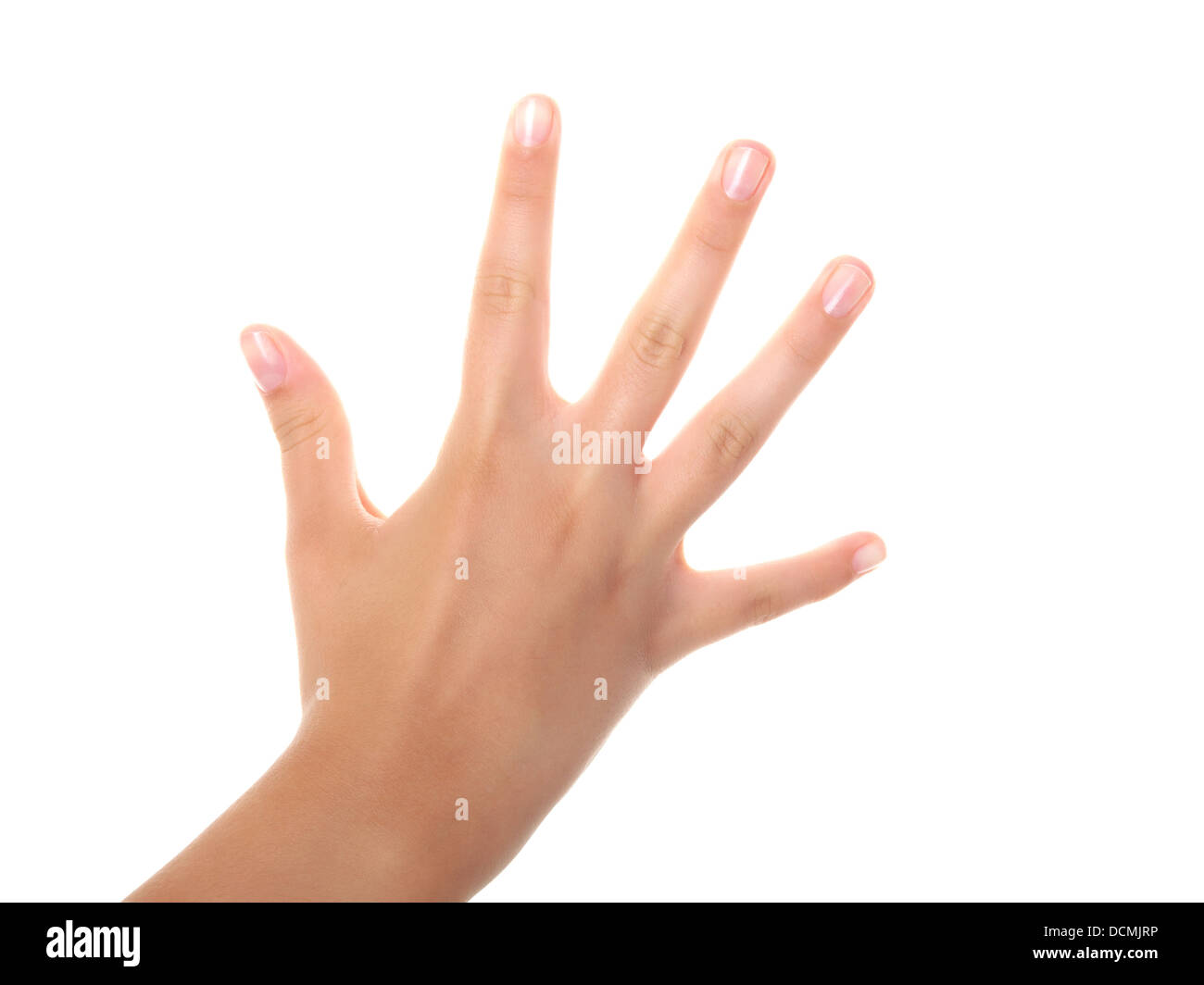 Empty open hand isolated on white background Stock Photo - Alamy