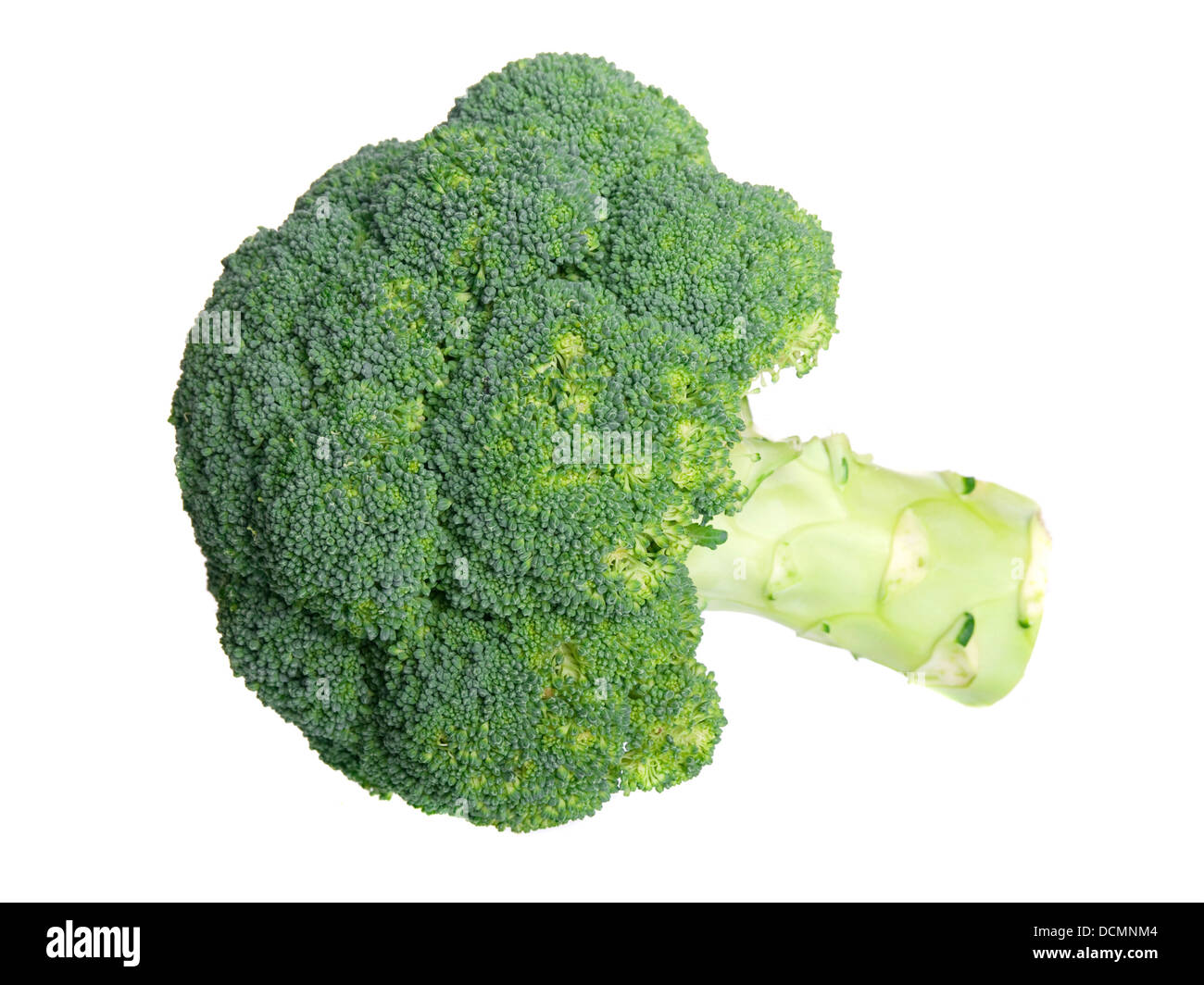 Food bright green broccoli Cut Out Stock Images & Pictures - Alamy