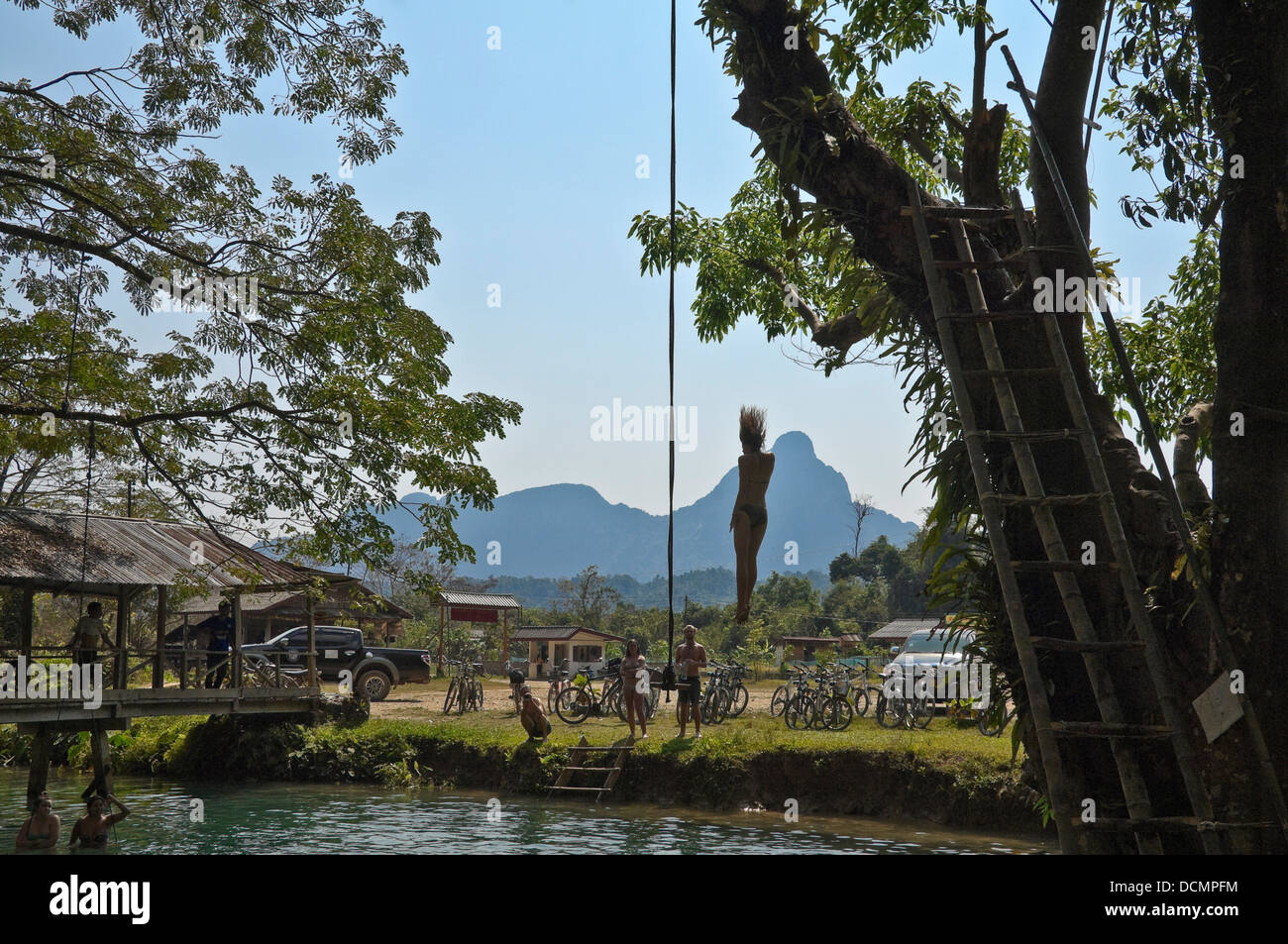 Jumping Off Tree Branch High Resolution Stock Photography and Images ...