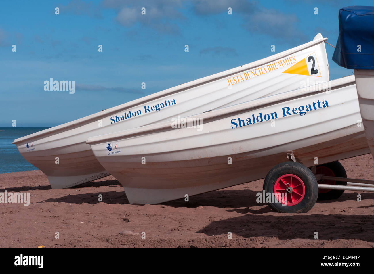 Teignmouth devon fish hi-res stock photography and images - Alamy