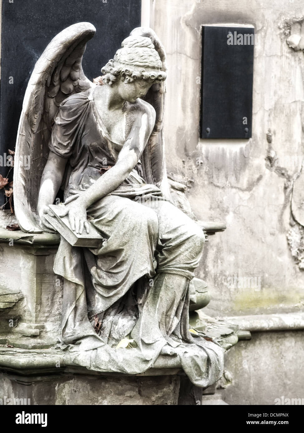 The stone angel book hi-res stock photography and images - Alamy