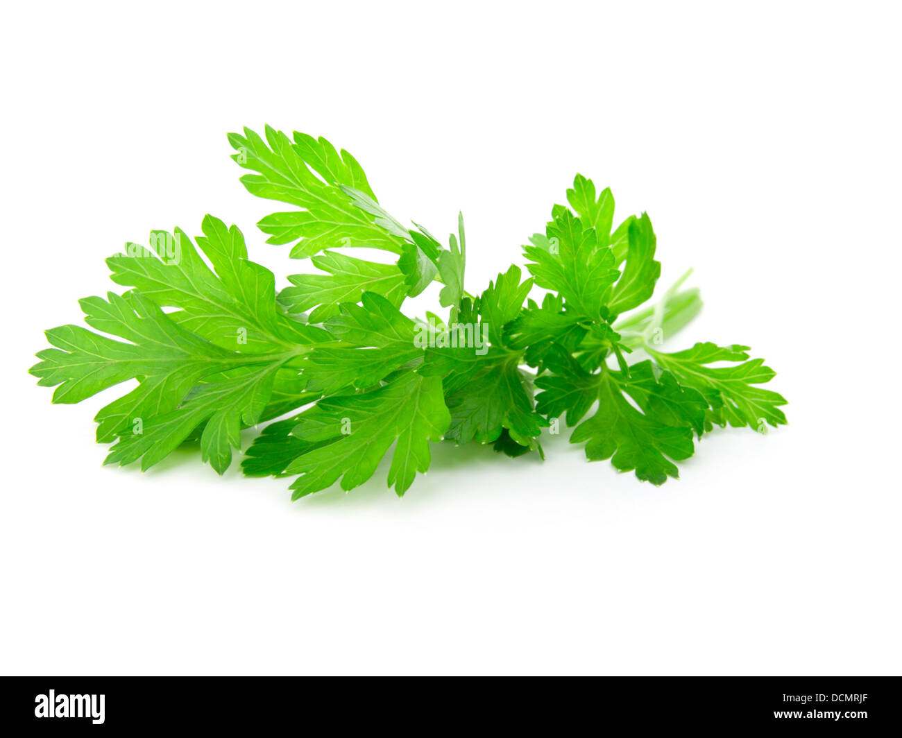 Fresh parsley on white background Stock Photo - Alamy