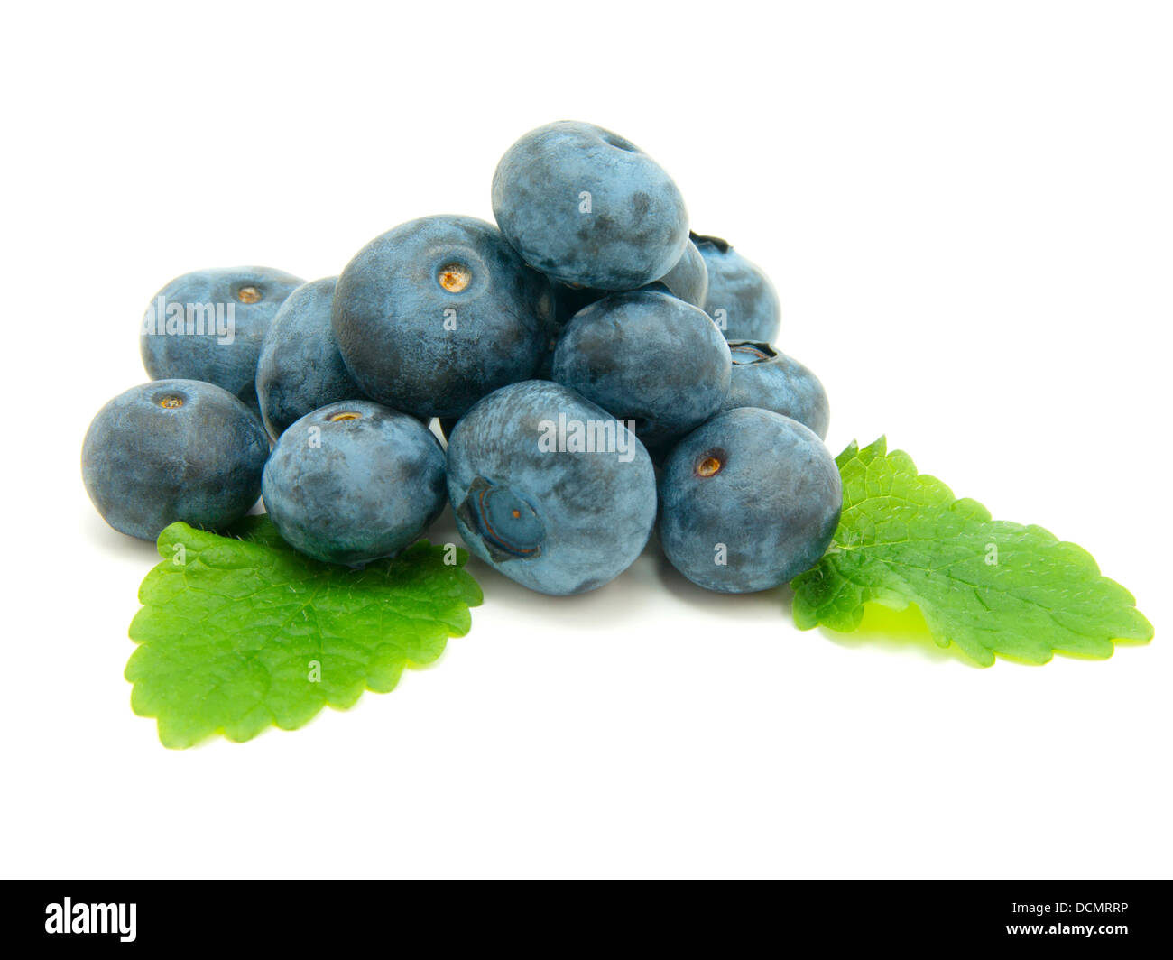 Blueberry on white background Stock Photo - Alamy