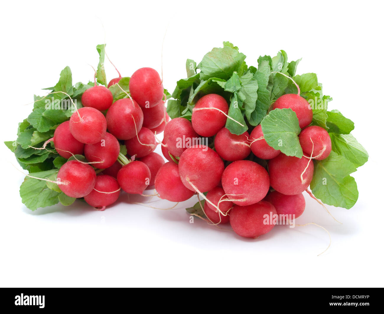 two bunch of radishes Stock Photo - Alamy