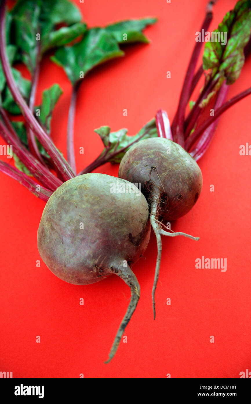 Appetites of the power hi-res stock photography and images - Alamy