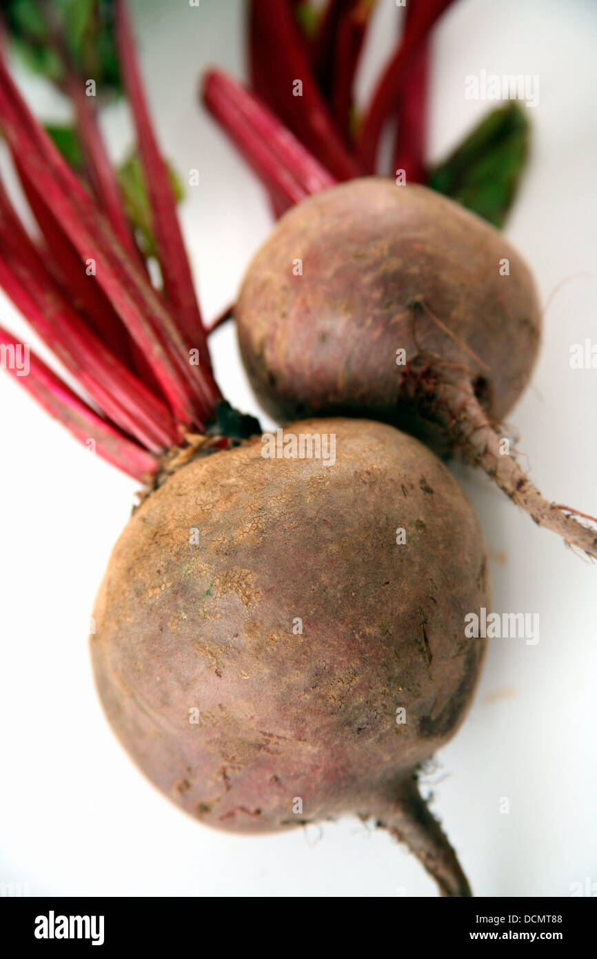 Beet diseases hi-res stock photography and images - Alamy