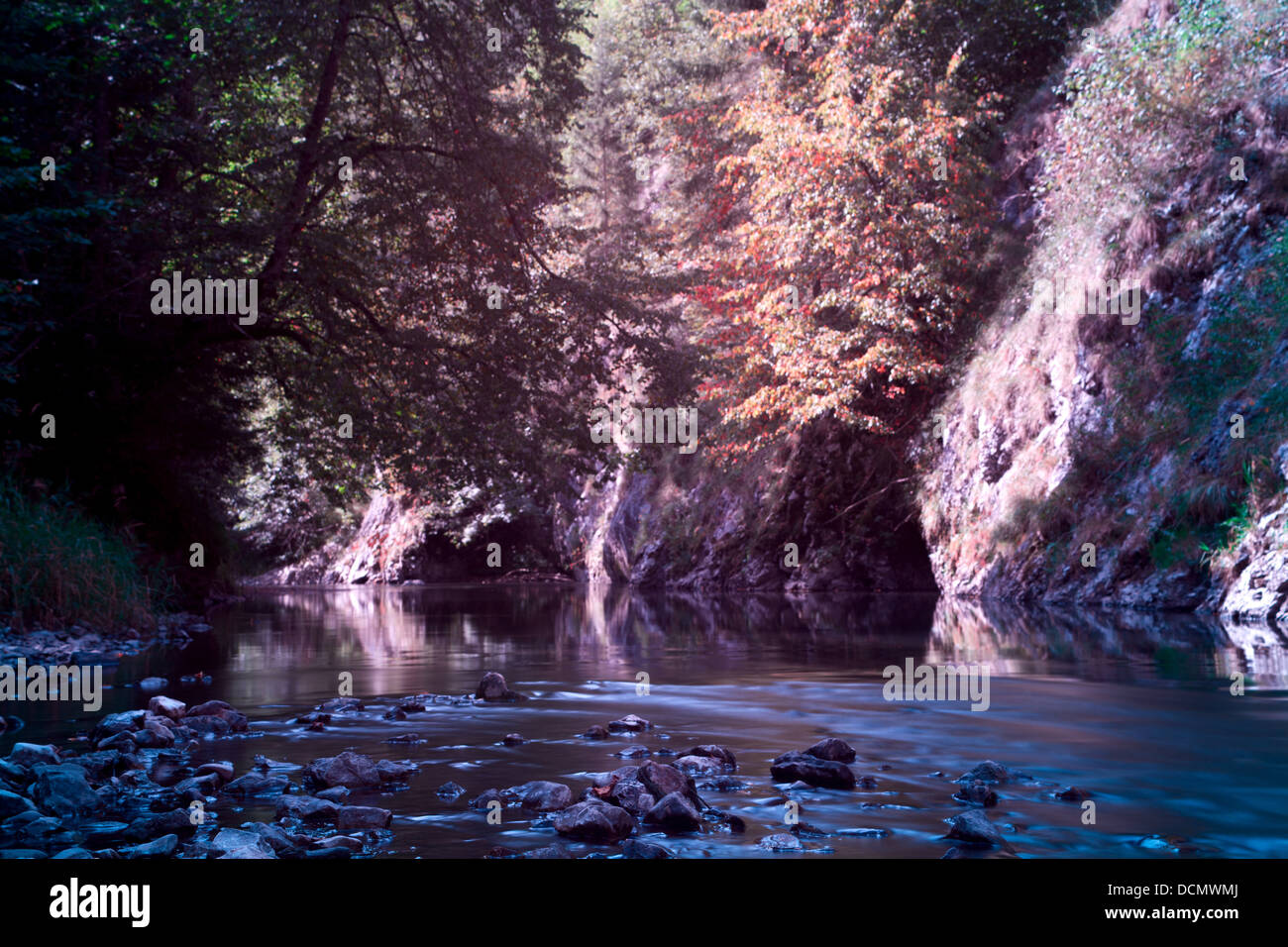Stream river summer trees hi-res stock photography and images - Alamy