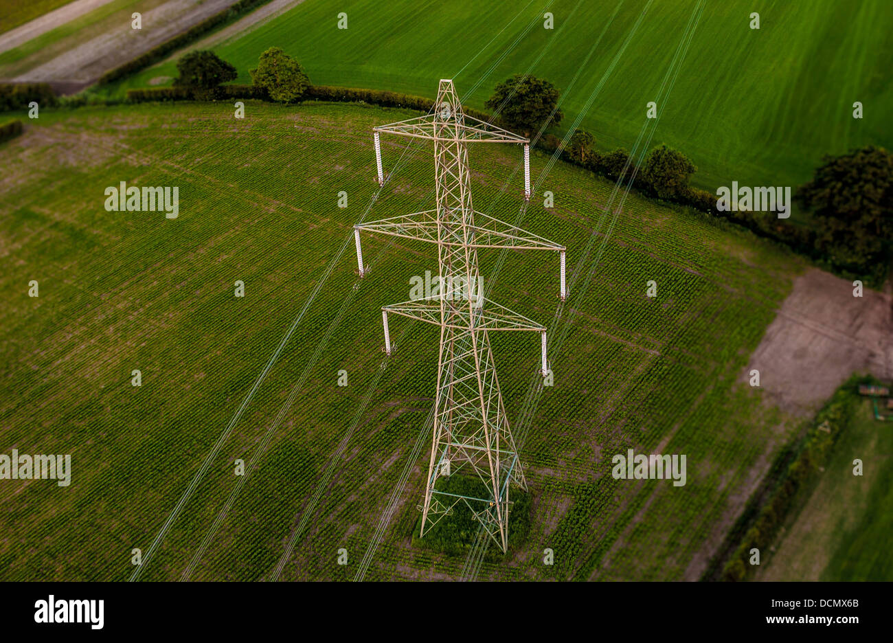 Aerial photo of an electricity pylon standing in a crop planted field ...