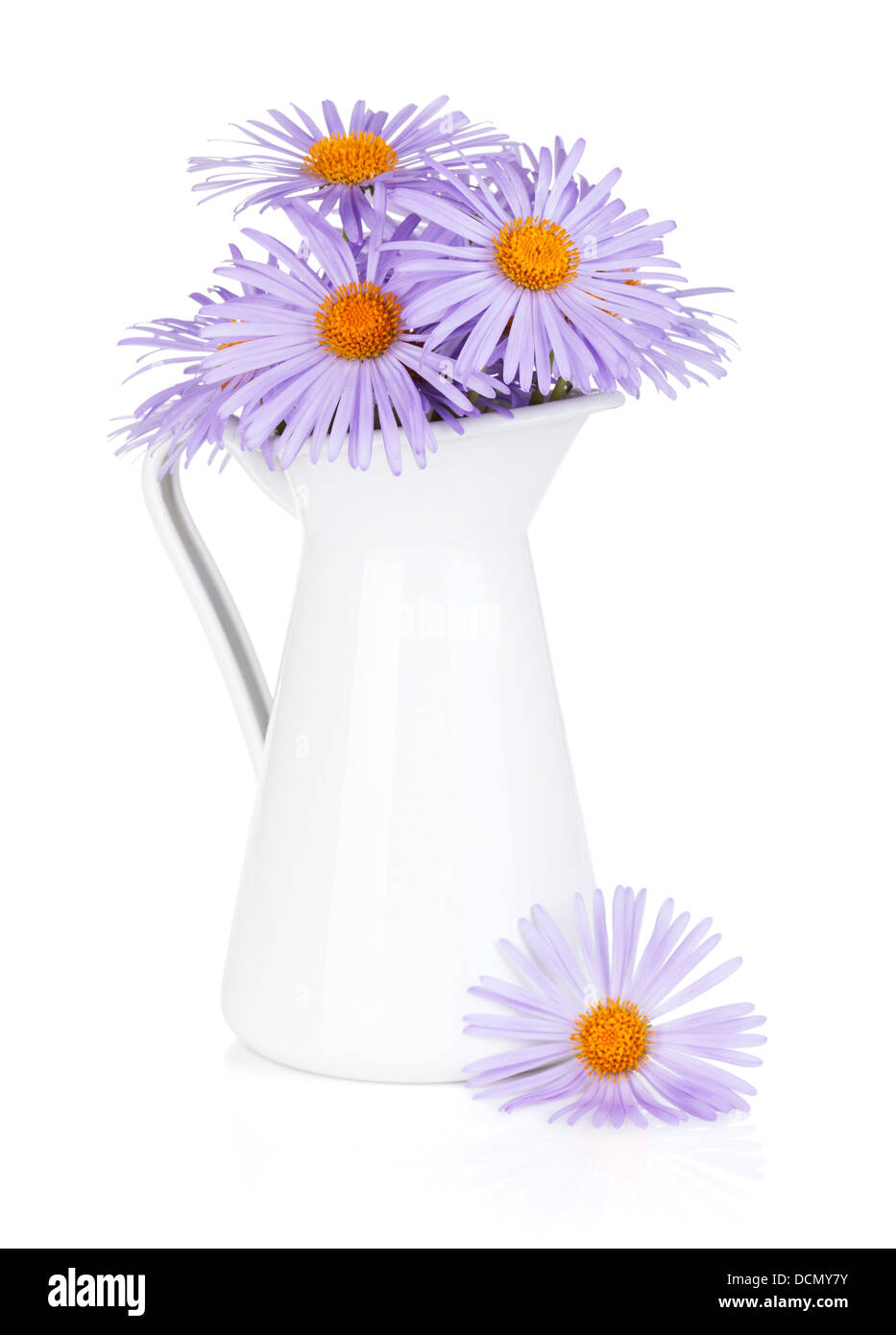 Blue camomile flowers in jug. Isolated on white background Stock Photo ...