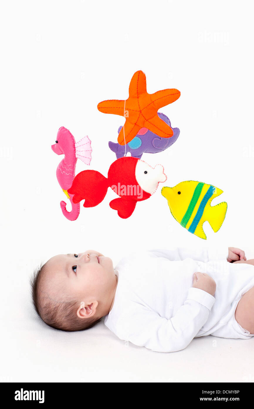 Hanging looking up at Cut Out Stock Images & Pictures - Alamy