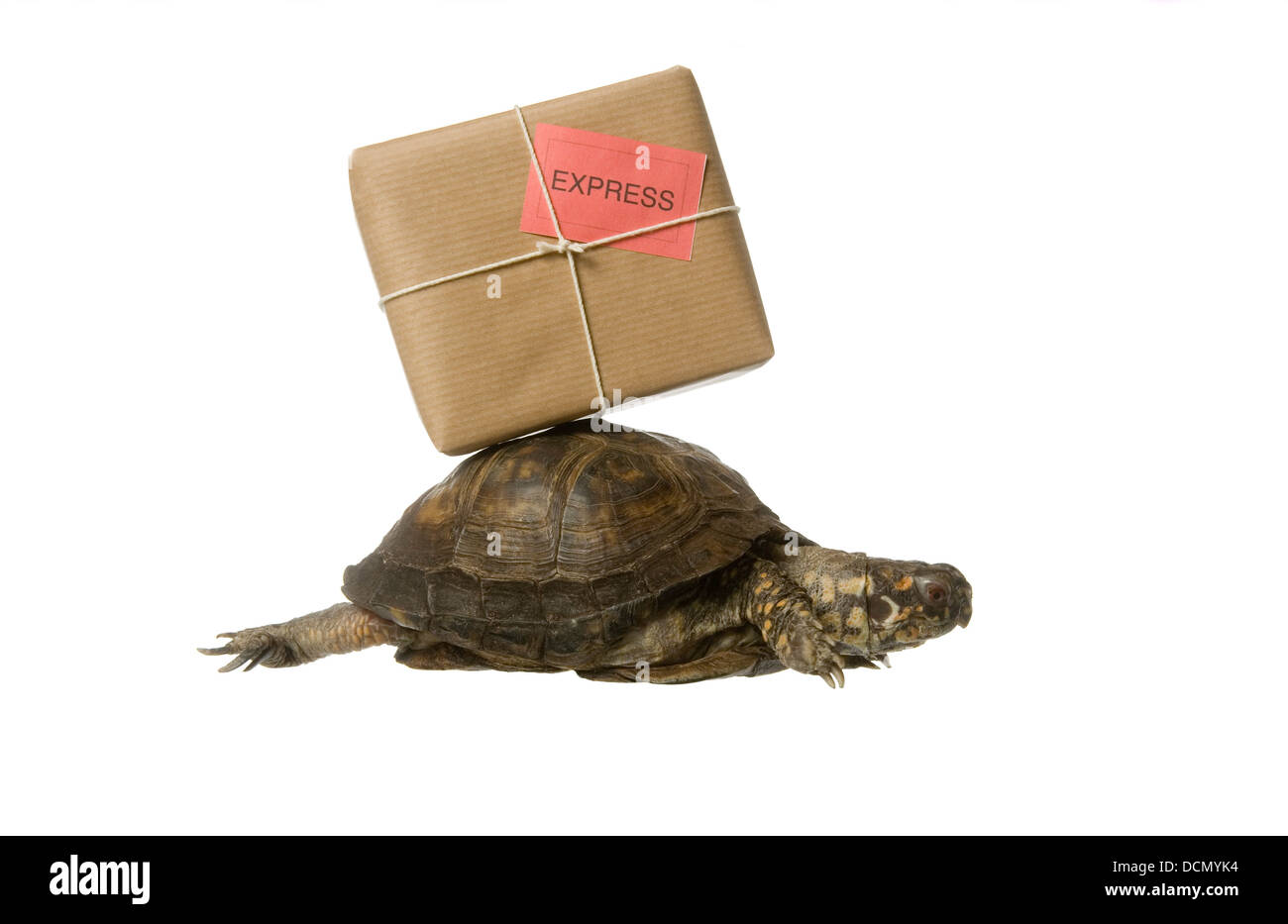 Three carriage Cut Out Stock Images & Pictures - Alamy