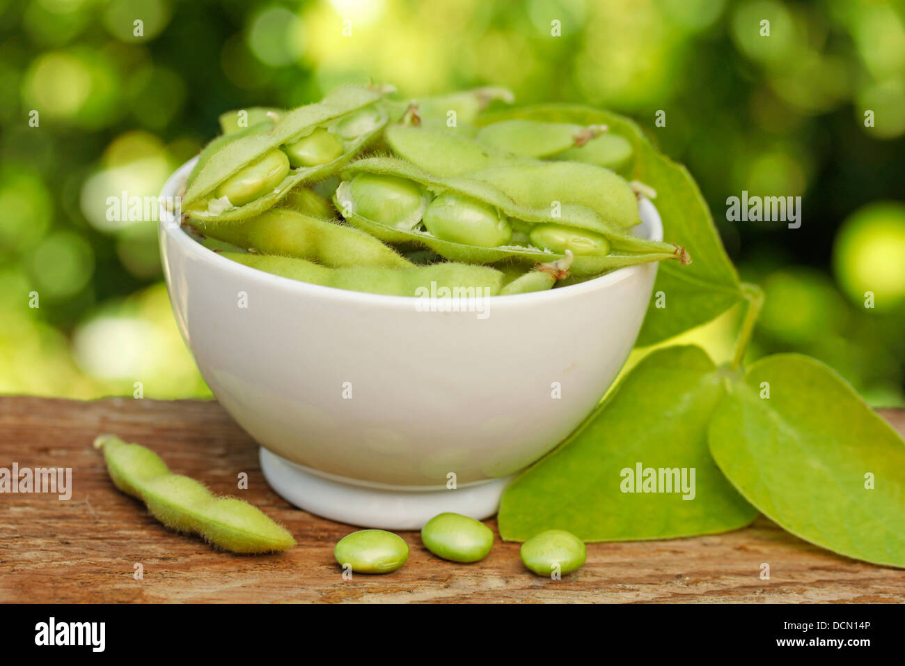 Soyabean hi-res stock photography and images - Alamy
