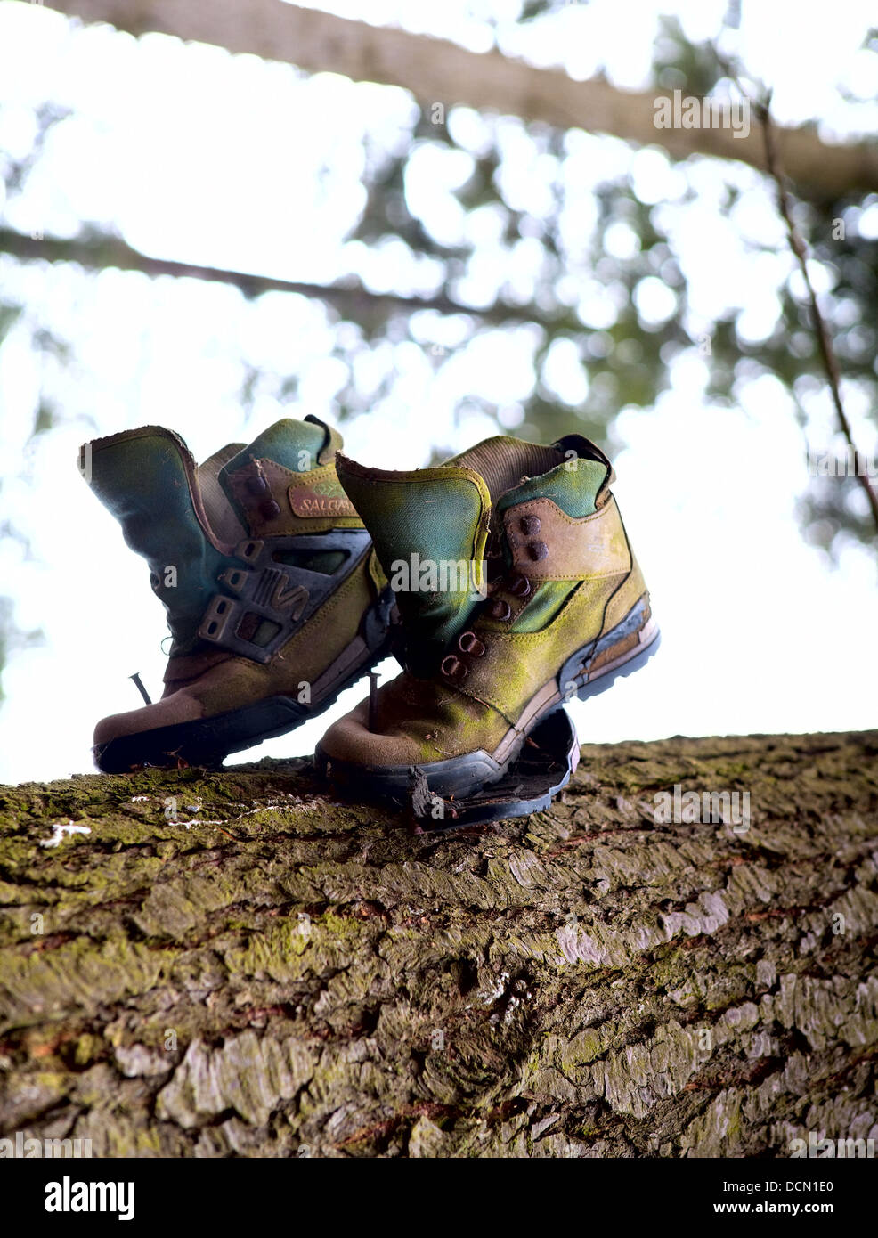 old tracking shoes Stock Photo - Alamy