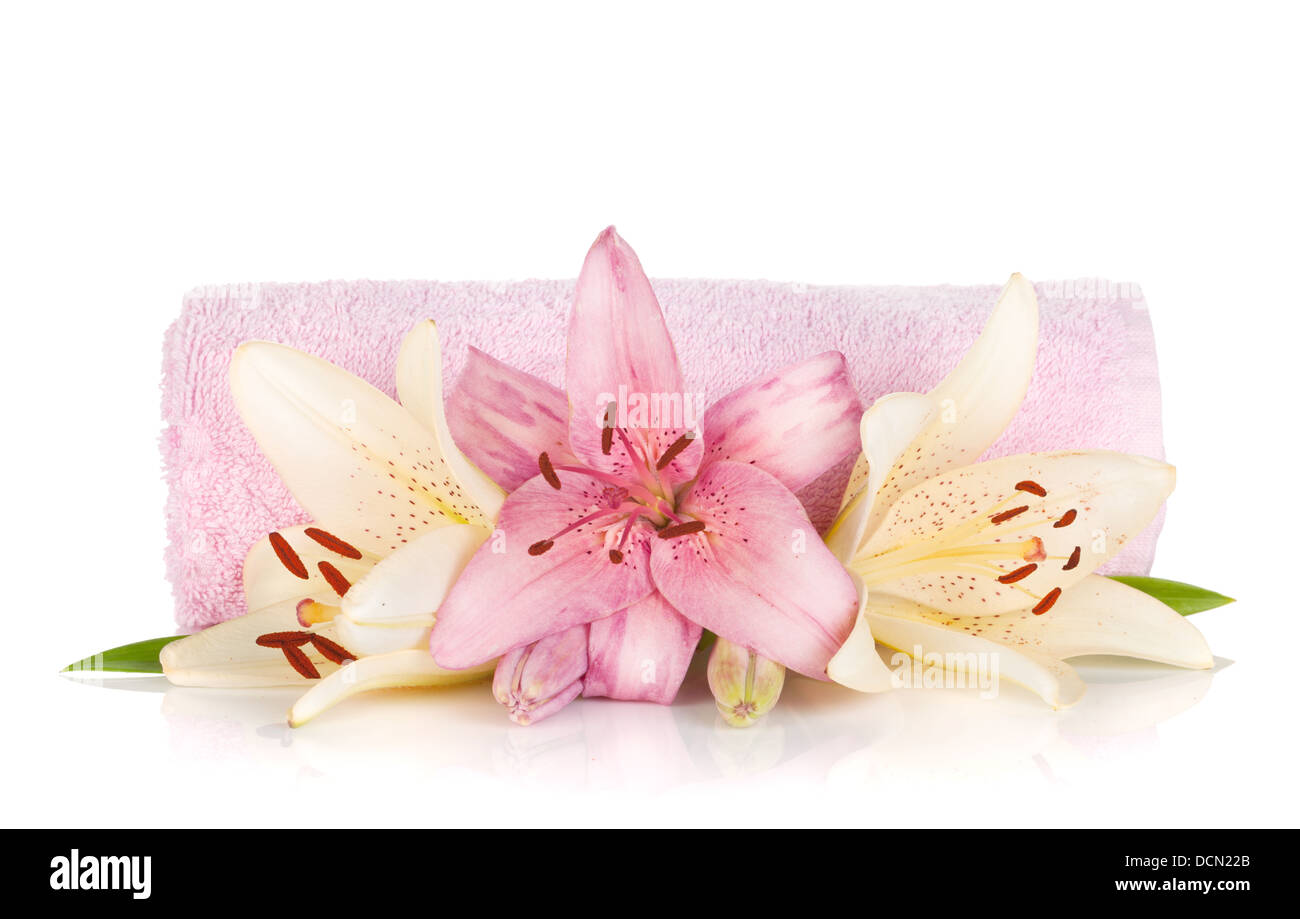 Spa setting with colorful lily flowers. Isolated on white background ...