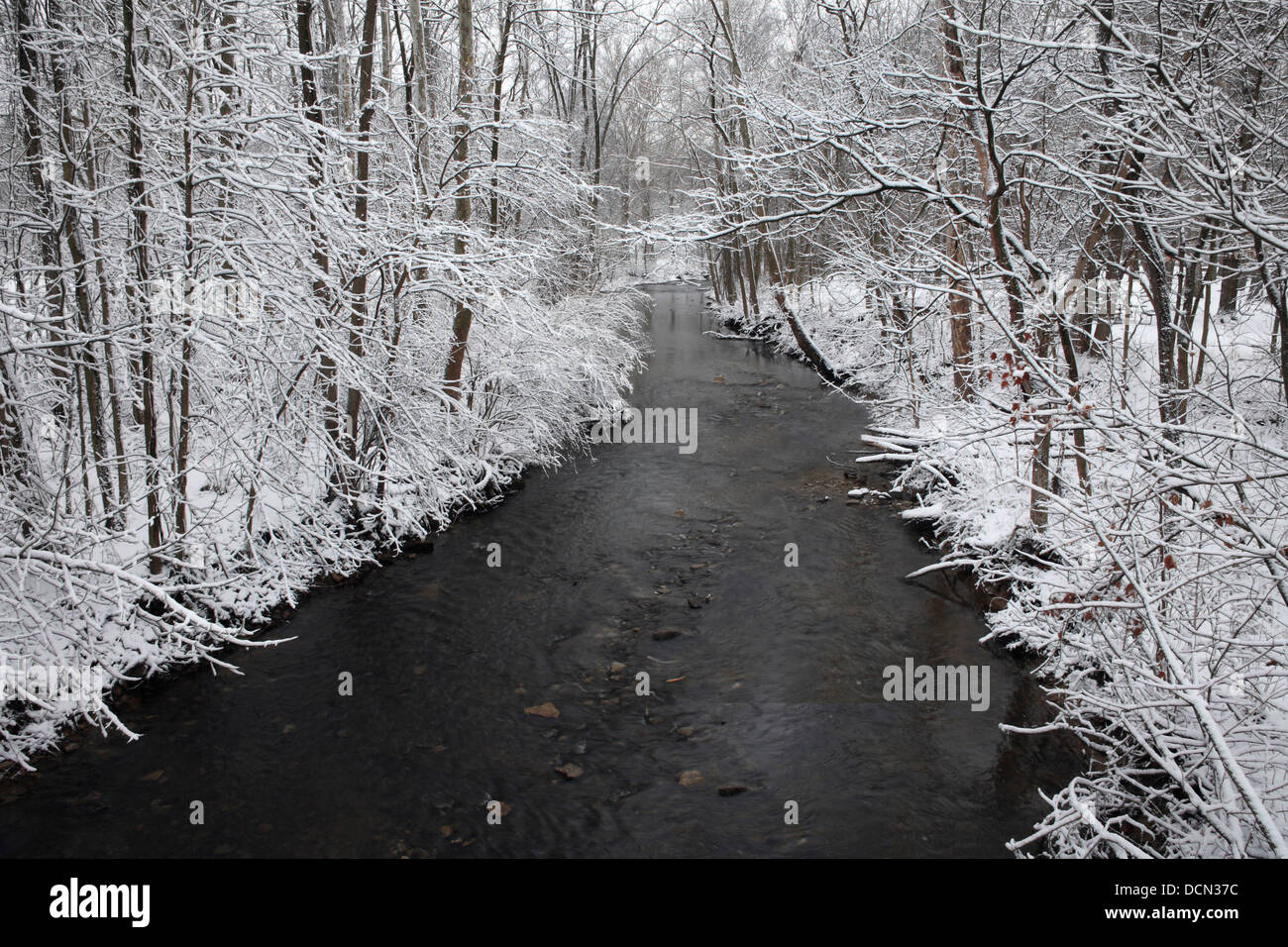 Snow Covered Trees Framing A Little Stream During Winter In The Park ...