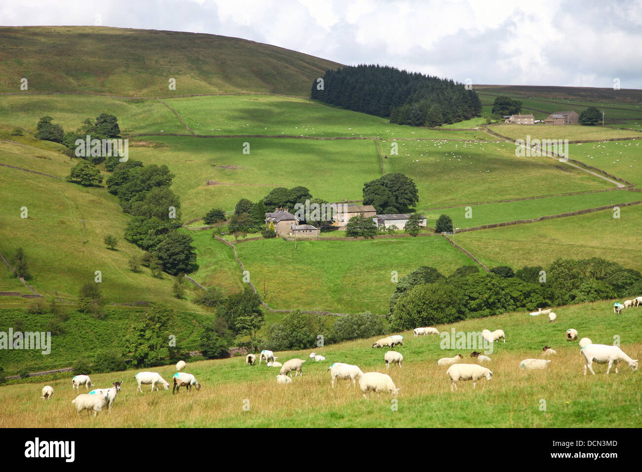 Remote hill farm hi-res stock photography and images - Alamy