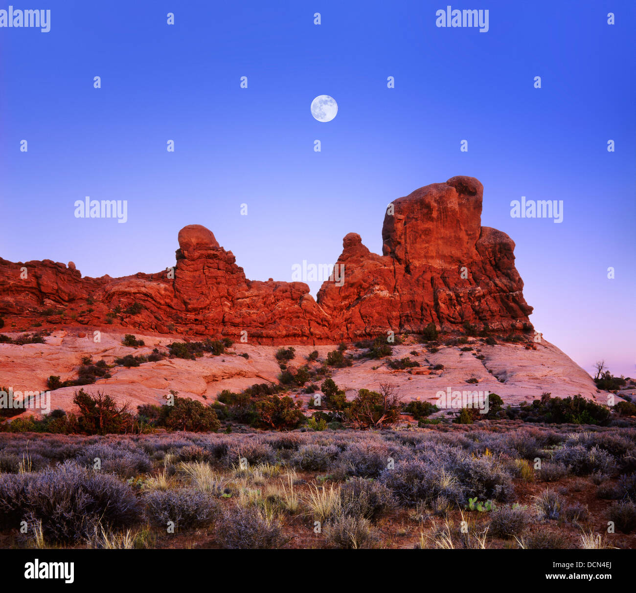 Brilliant luna park hi-res stock photography and images - Alamy