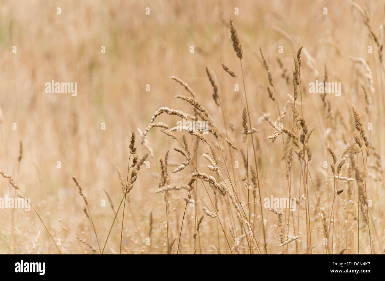 Great nature landscape with amazing color Stock Photo - Alamy