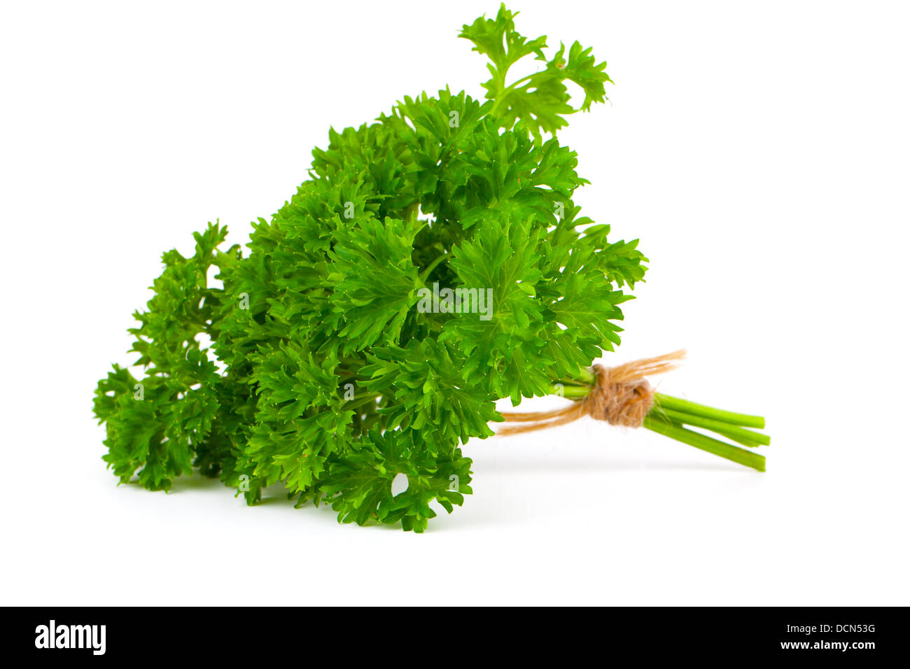 parsley tied with an cord band in white background Stock Photo - Alamy