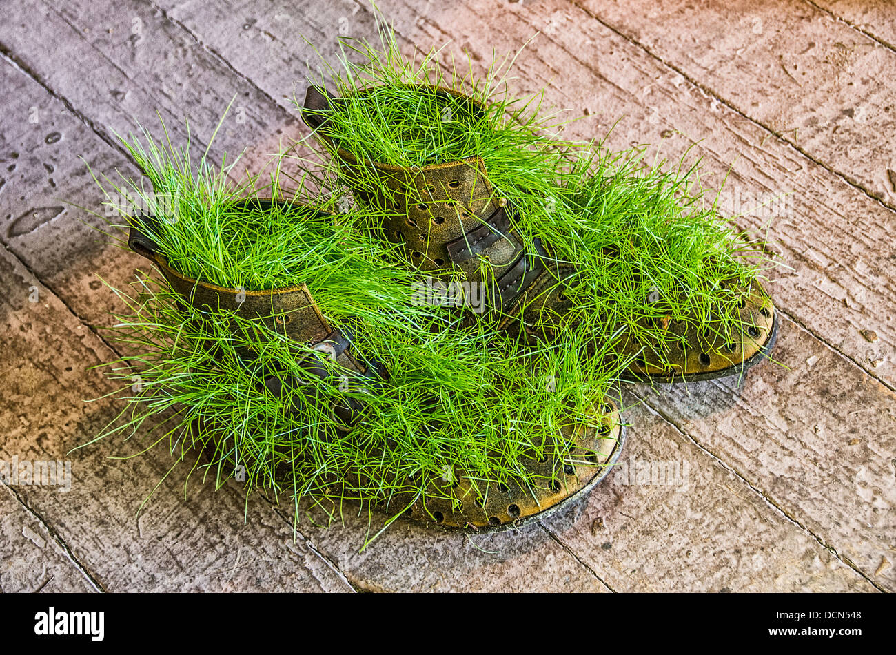 Hold boots with grass inside in an old wood background Stock Photo - Alamy