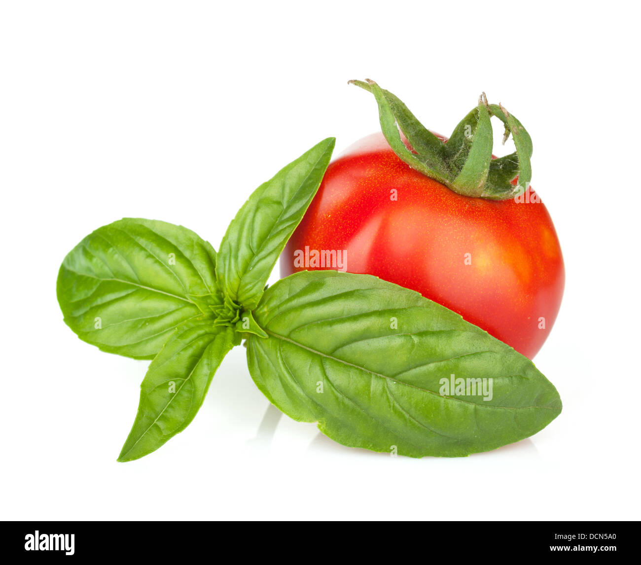Tomato and basil. Isolated on white background Stock Photo - Alamy