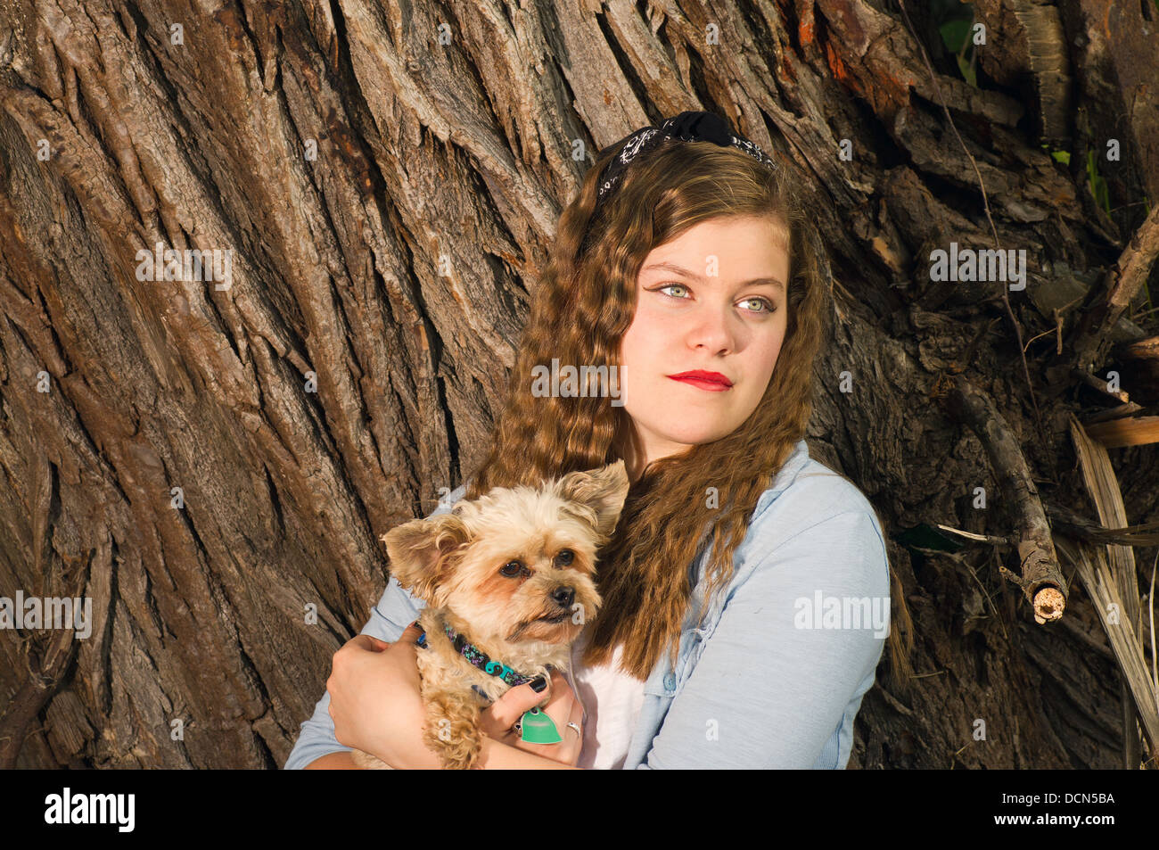 Teen Dog High Resolution Stock Photography and Images - Alamy