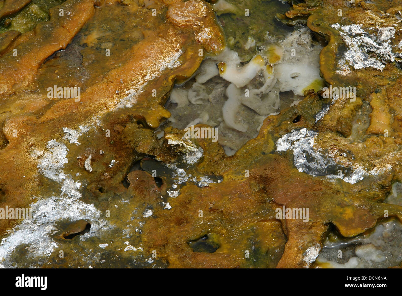 abstract brown and translucent organic substance in a hot spring in ...