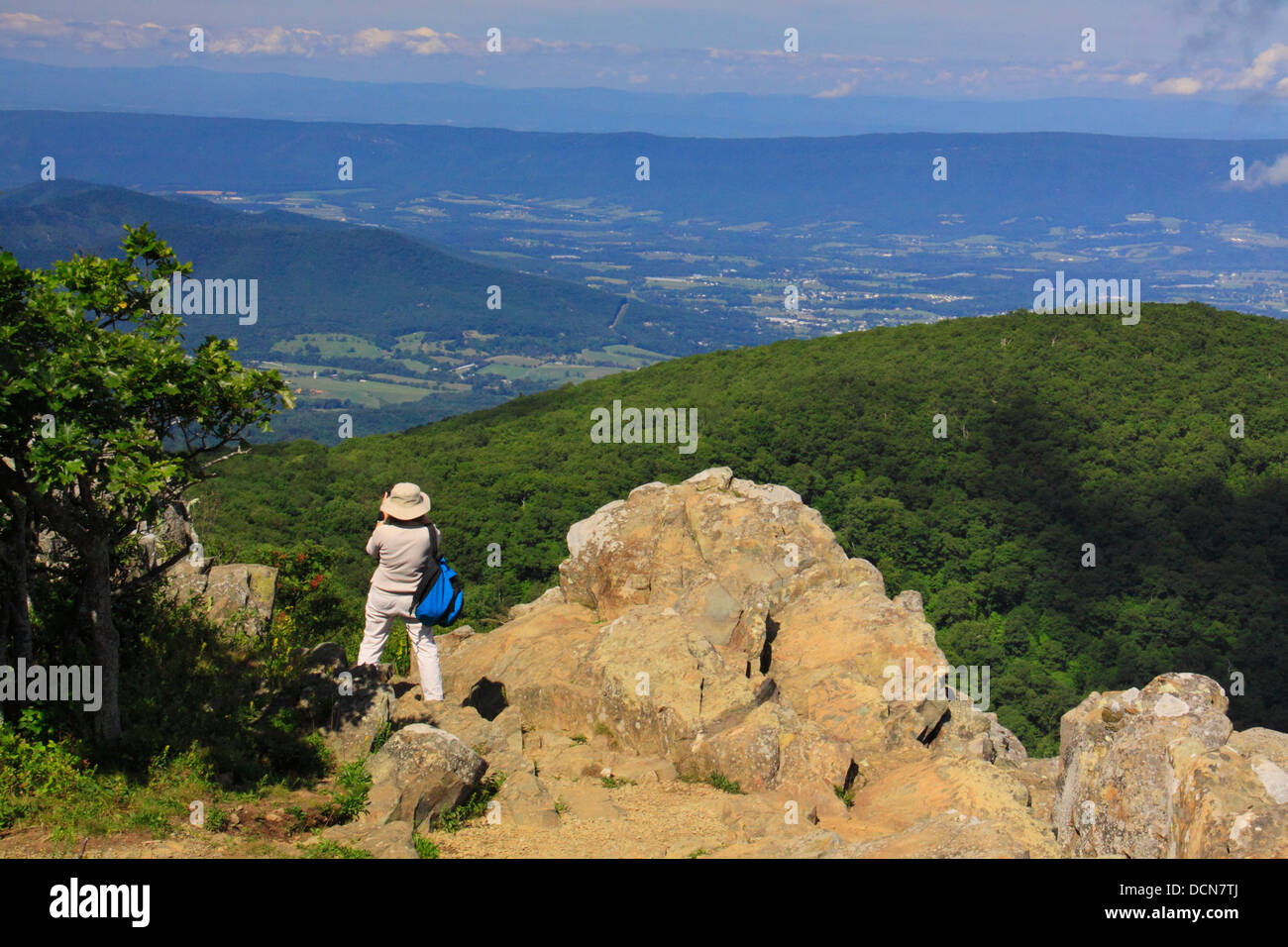 Hawksbill Near the Appalachian Trail, Shenandoah National Park ...