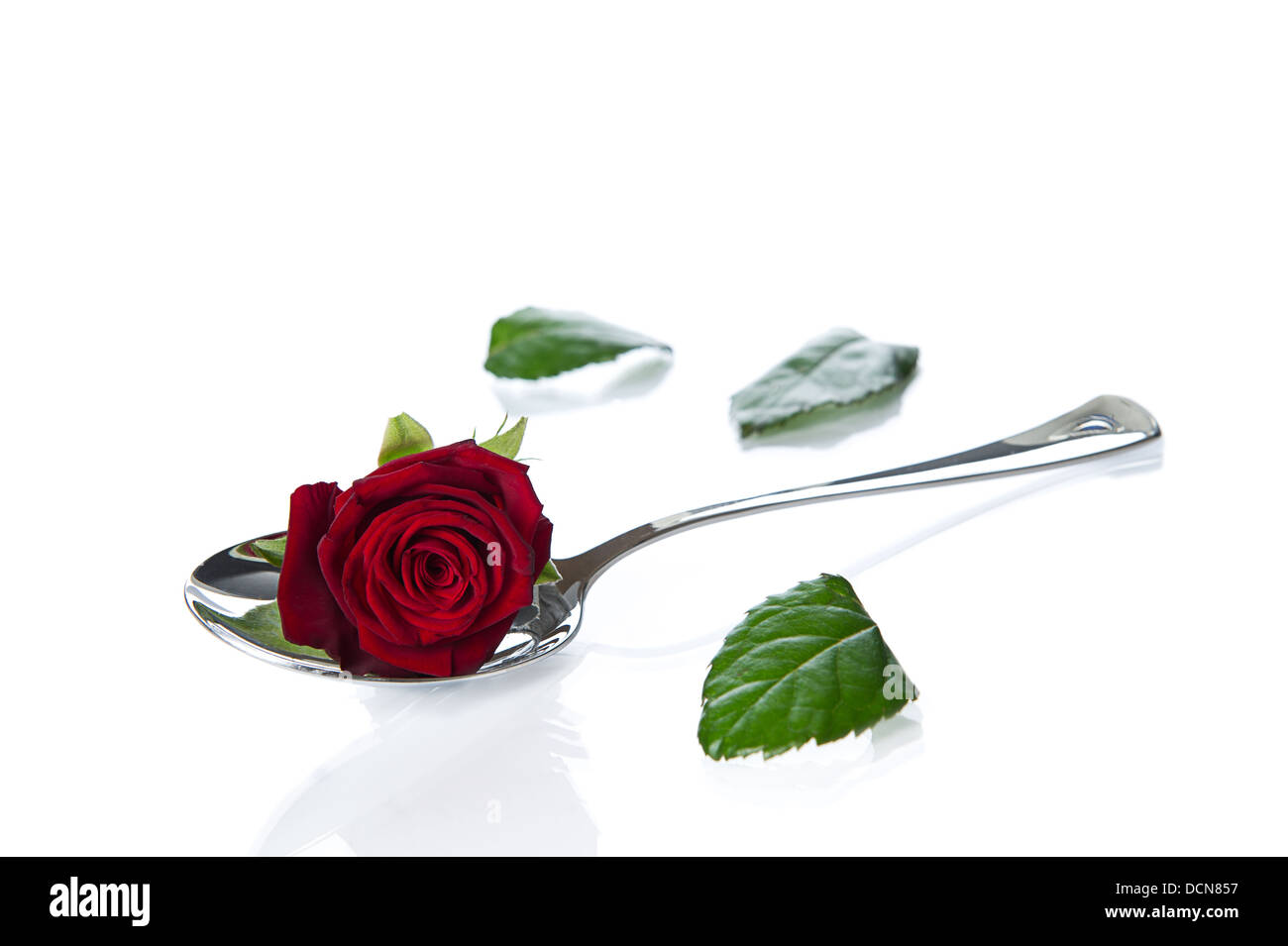Rose lying in a spoon Stock Photo - Alamy