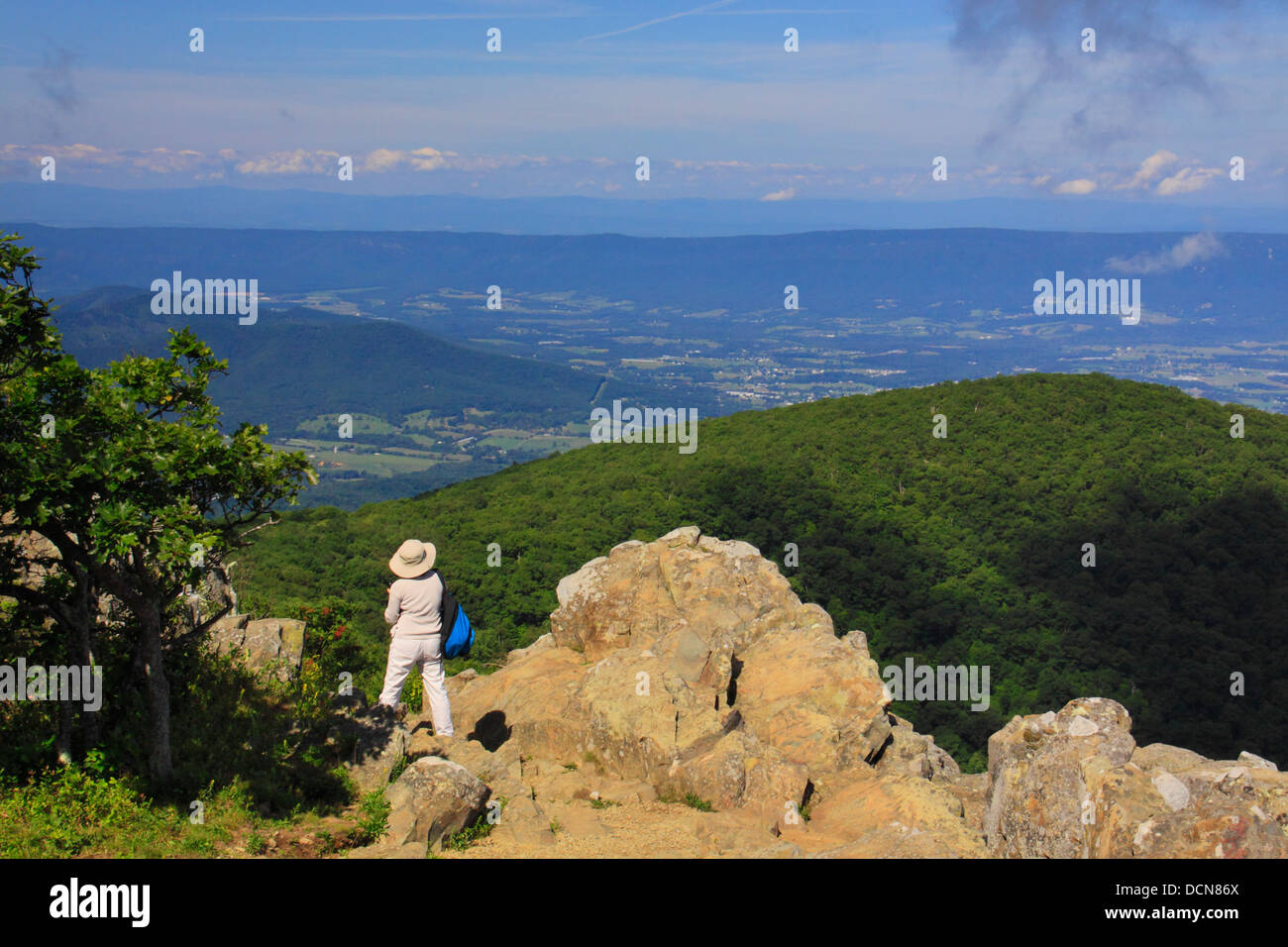 Hawksbill Near the Appalachian Trail, Shenandoah National Park ...