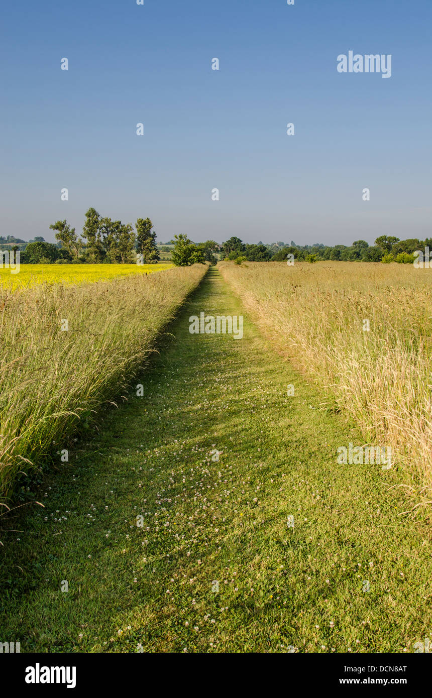 Mown grass footpath Stock Photo - Alamy