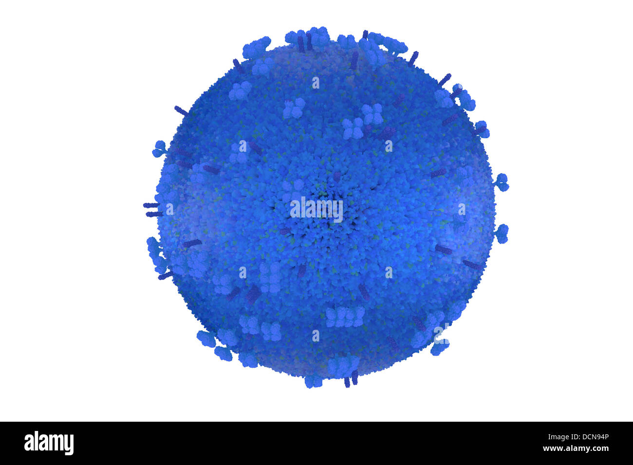 scientific model of the influenza virus in blue Stock Photo - Alamy