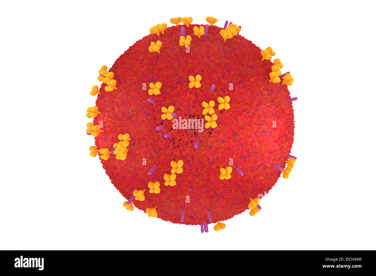 scientific model of the influenza virus in red and yellow Stock Photo ...