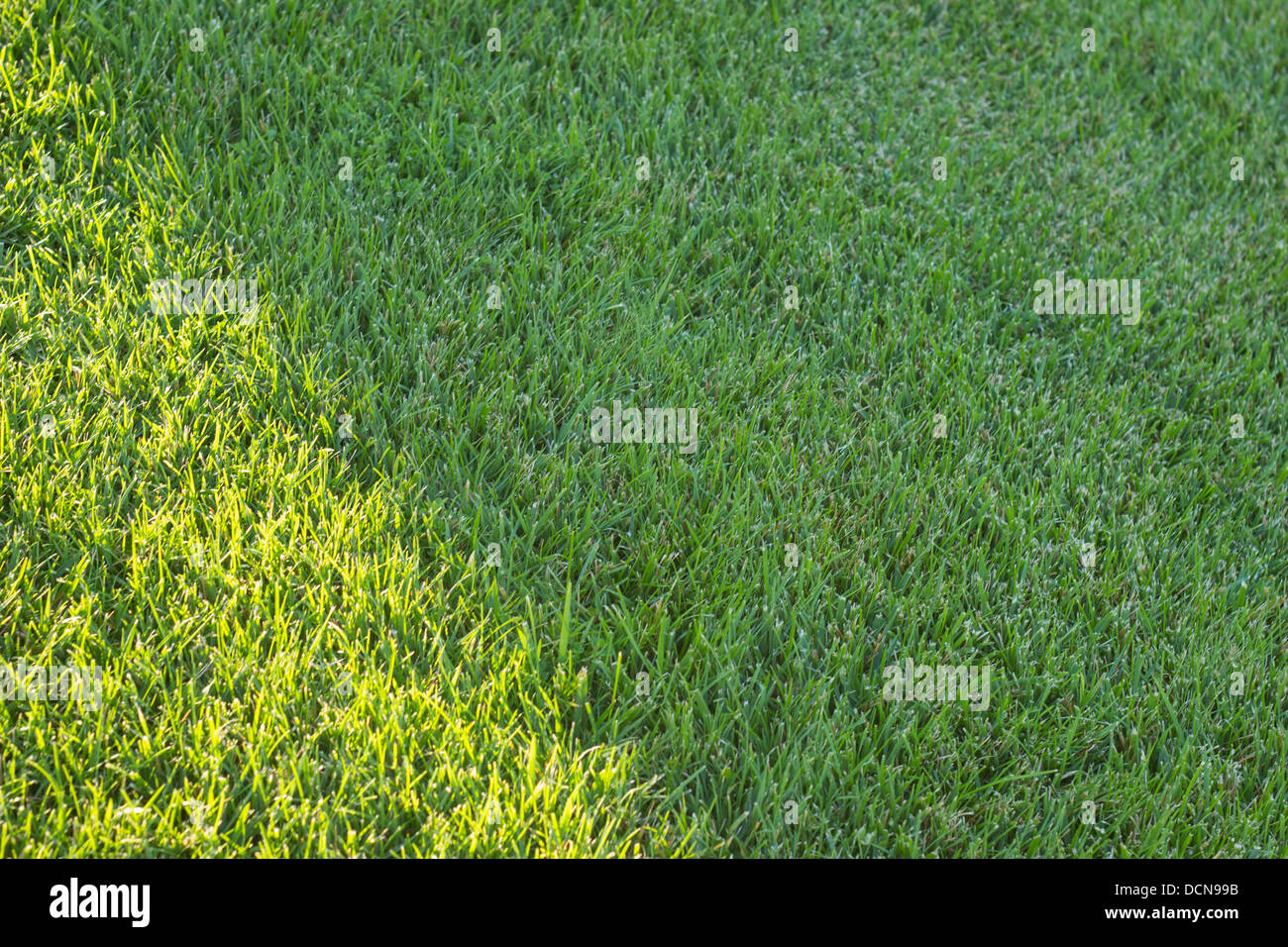 Green grass garden hi-res stock photography and images - Alamy