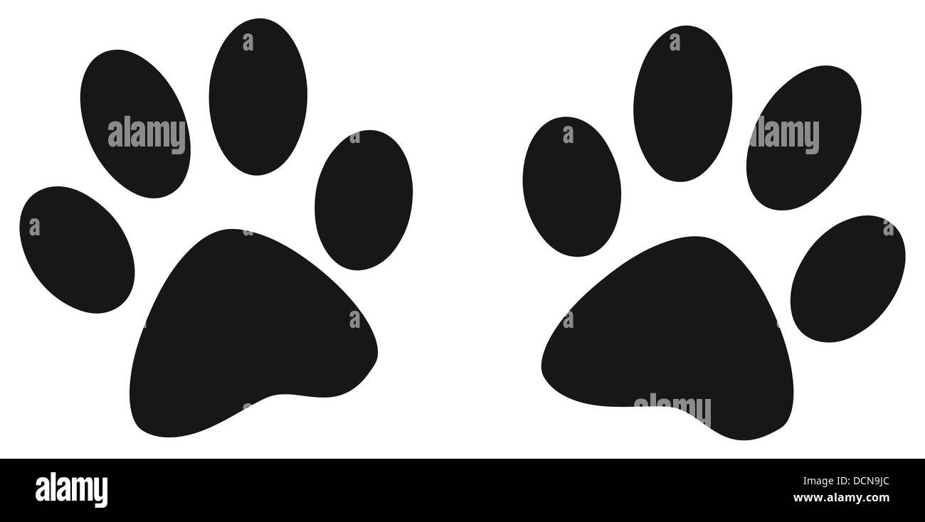 Illustrations and clip art footprint hi-res stock photography and ...