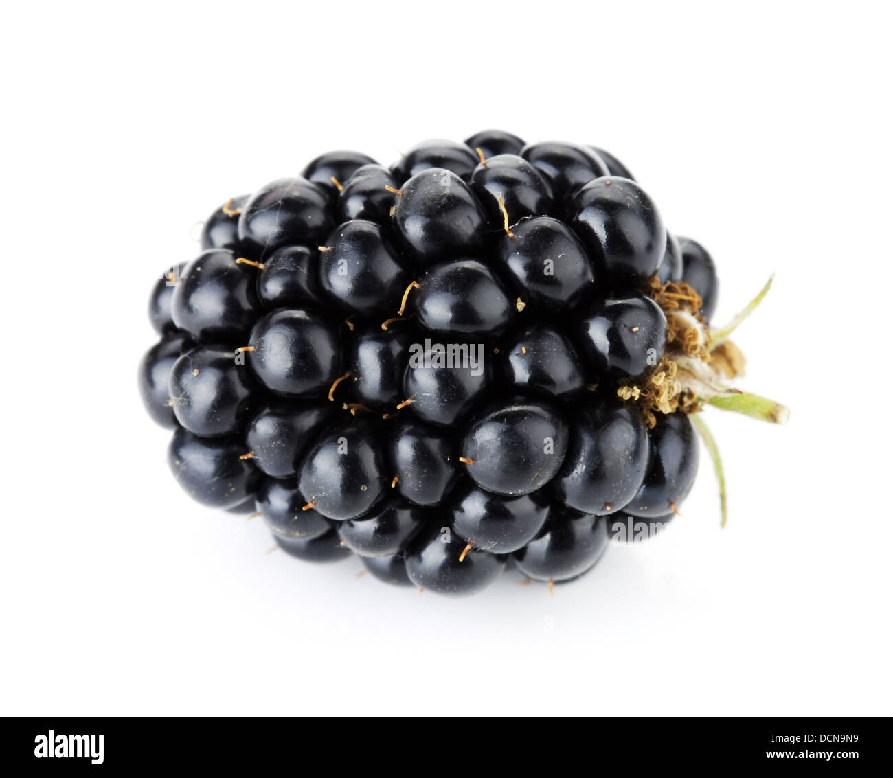 White Blackberry Fruit