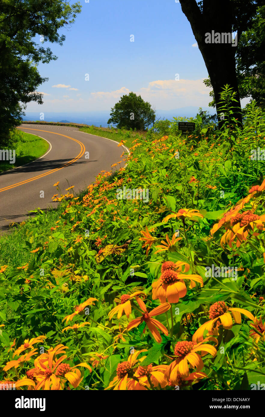 Skyline drive virginia road spring hi-res stock photography and images ...