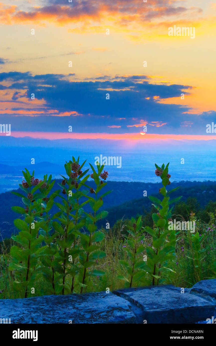 Stone Riprap High Resolution Stock Photography and Images - Alamy